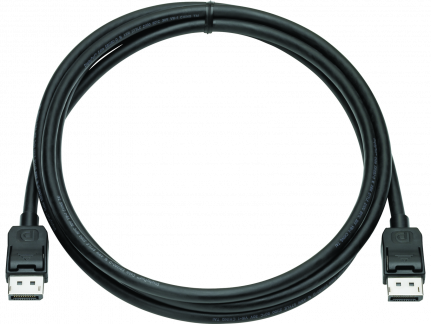 HP DisplayPort-kabel, 2 meter, Sort til den bedste online pris!